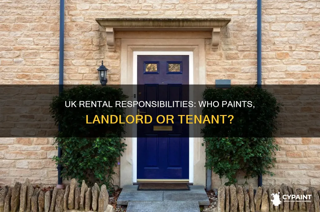 Uk Rental Responsibilities: Who Paints, Landlord Or Tenant? | CyPaint