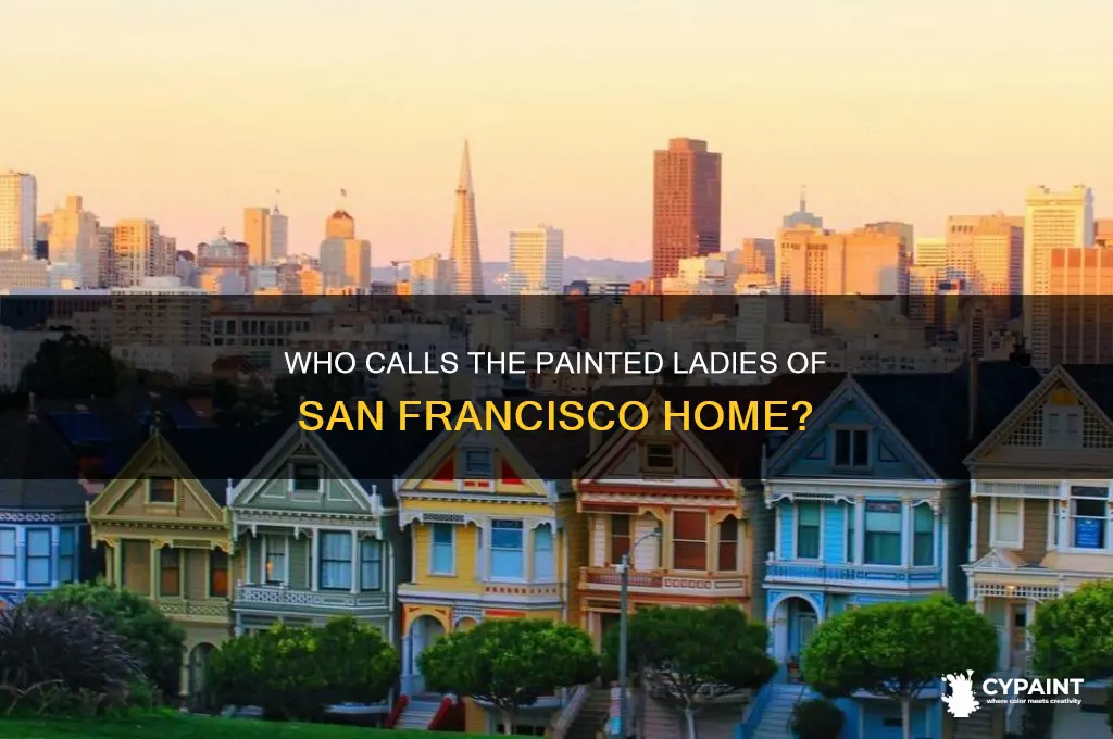 Who Calls The Painted Ladies Of San Francisco Home? | CyPaint