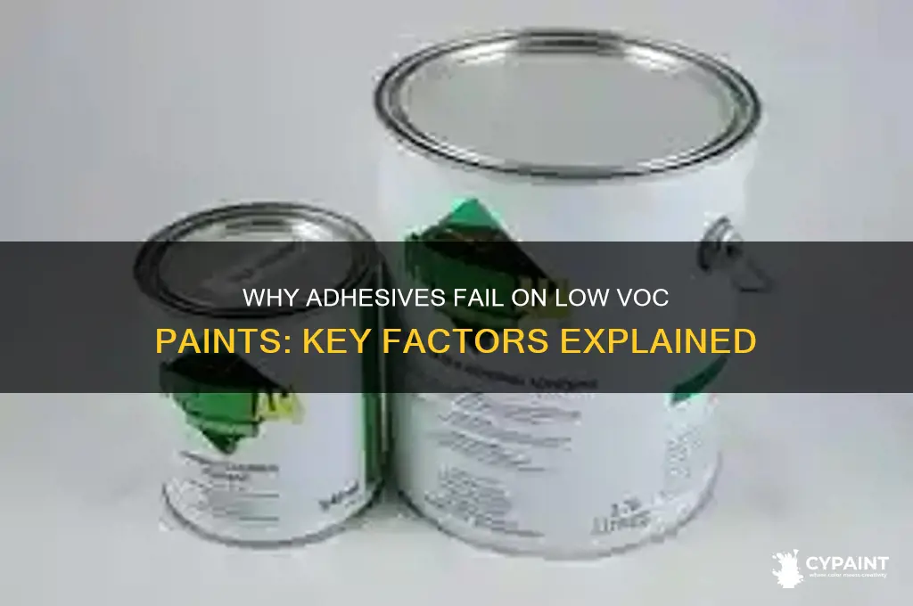 Why Adhesives Fail On Low Voc Paints: Key Factors Explained | CyPaint