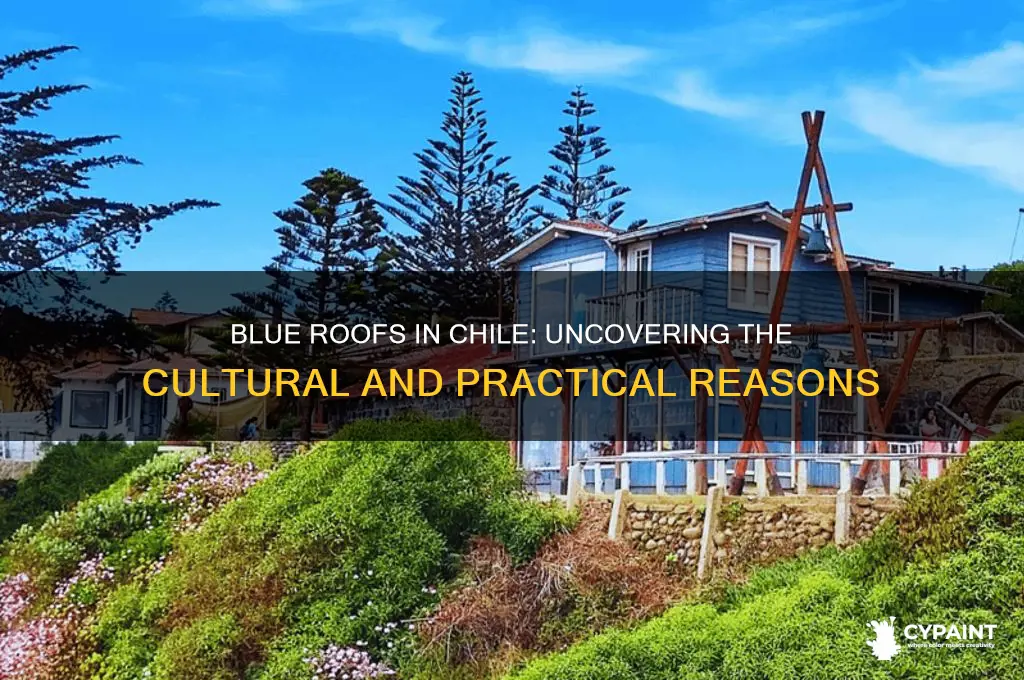 Blue Roofs In Chile: Uncovering The Cultural And Practical Reasons ...
