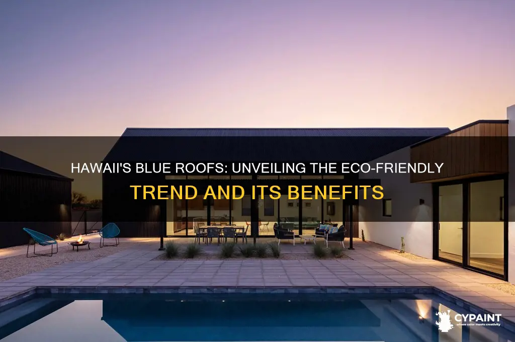 Hawaii's Blue Roofs: Unveiling The Eco-Friendly Trend And Its Benefits ...