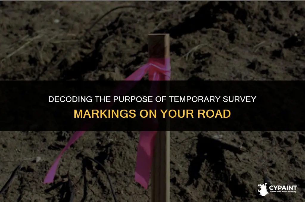 Decoding The Purpose Of Temporary Survey Markings On Your Road | CyPaint