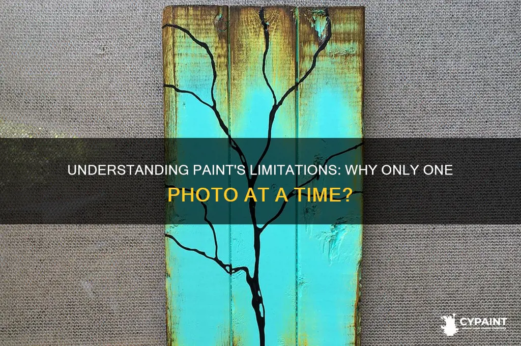 Understanding Paint's Limitations: Why Only One Photo At A Time? | CyPaint