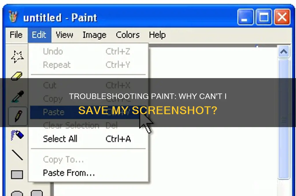 Troubleshooting Paint: Why Can't I Save My Screenshot? | CyPaint