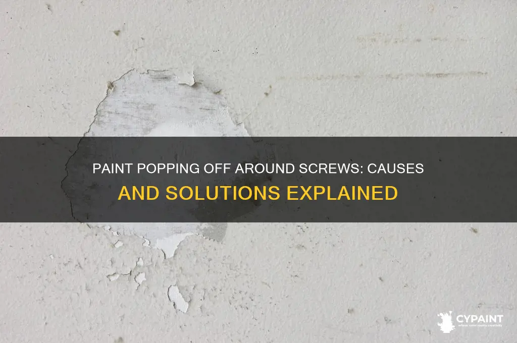 Paint Popping Off Around Screws: Causes And Solutions Explained | CyPaint