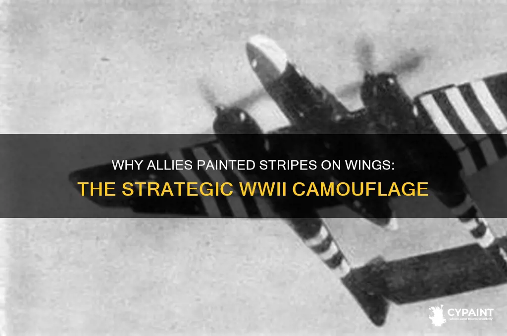 Why Allies Painted Stripes On Wings: The Strategic Wwii Camouflage ...
