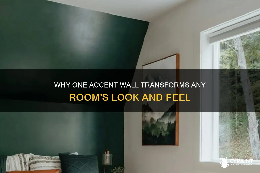Why One Accent Wall Transforms Any Room's Look And Feel | CyPaint