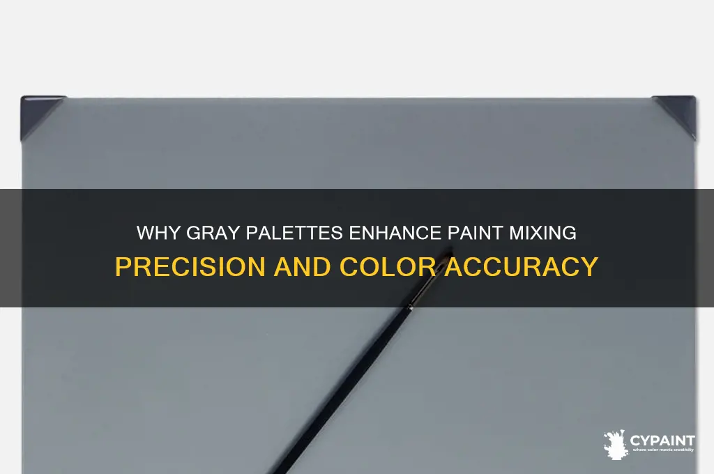 Why Gray Palettes Enhance Paint Mixing Precision And Color Accuracy ...
