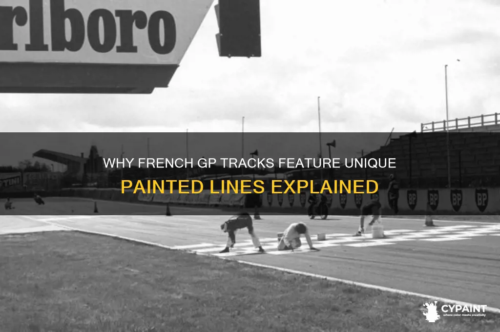 Why French Gp Tracks Feature Unique Painted Lines Explained | CyPaint