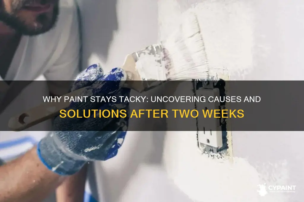 Why Paint Stays Tacky: Uncovering Causes And Solutions After Two Weeks ...