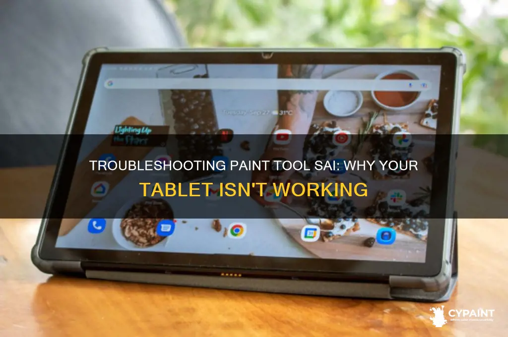 Troubleshooting Paint Tool Sai: Why Your Tablet Isn't Working | CyPaint