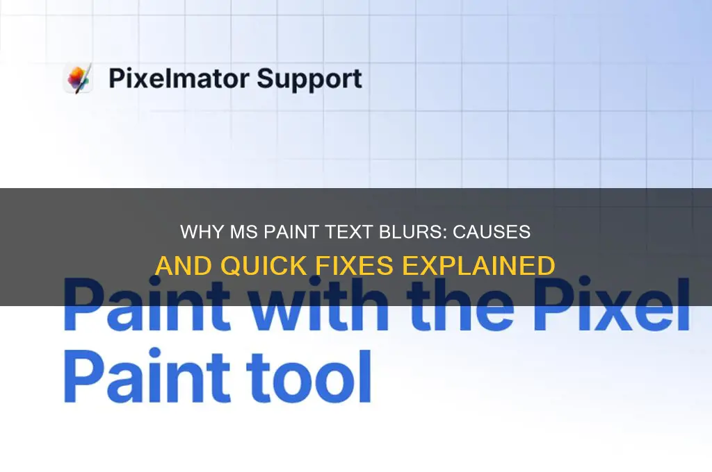 Why Ms Paint Text Blurs: Causes And Quick Fixes Explained | CyPaint