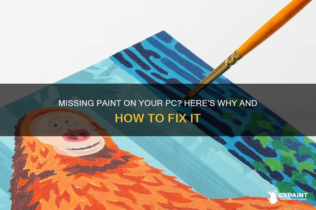 Missing Paint On Your Pc? Here’S Why And How To Fix It | CyPaint