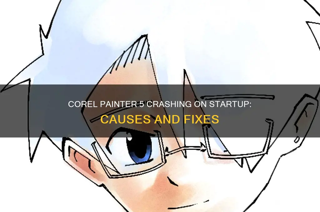 Corel Painter 5 Crashing On Startup: Causes And Fixes | CyPaint