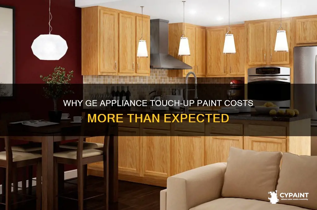 Why Ge Appliance Touch-Up Paint Costs More Than Expected | CyPaint