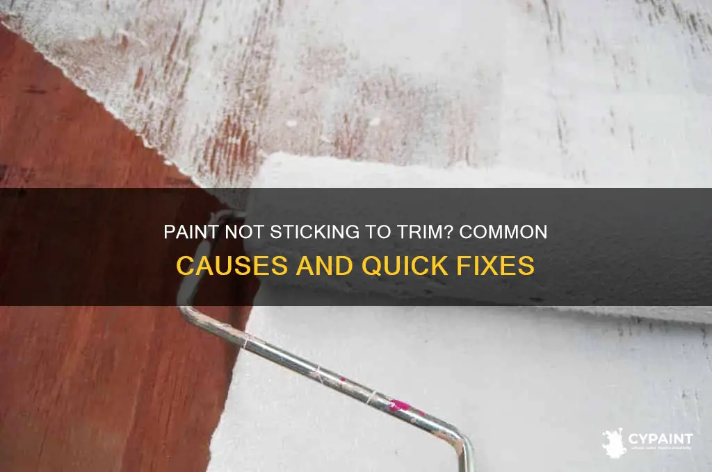 Paint Not Sticking To Trim? Common Causes And Quick Fixes | CyPaint