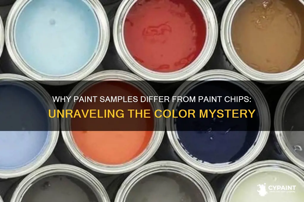Why Paint Samples Differ From Paint Chips: Unraveling The Color Mystery ...