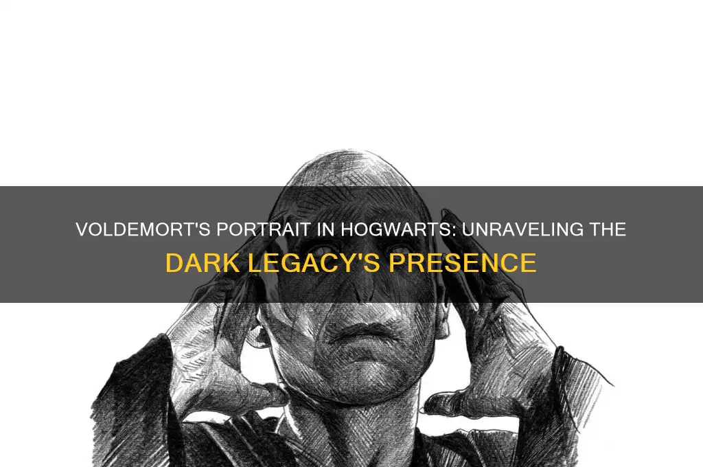 Voldemort's Portrait In Hogwarts: Unraveling The Dark Legacy's Presence ...