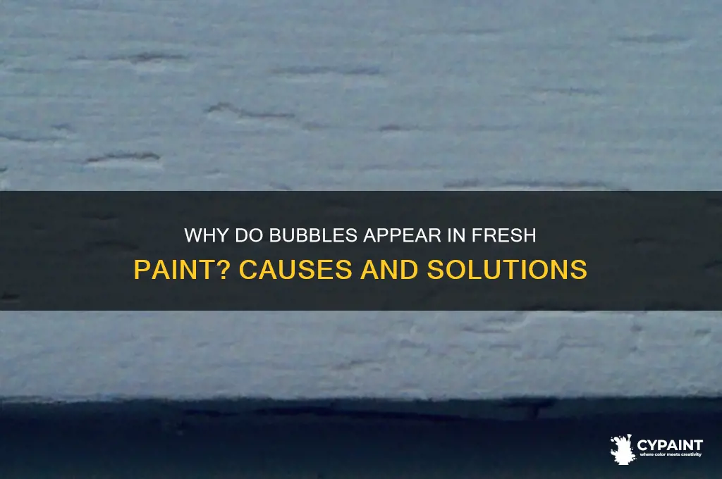 Why Do Bubbles Appear In Fresh Paint? Causes And Solutions | CyPaint