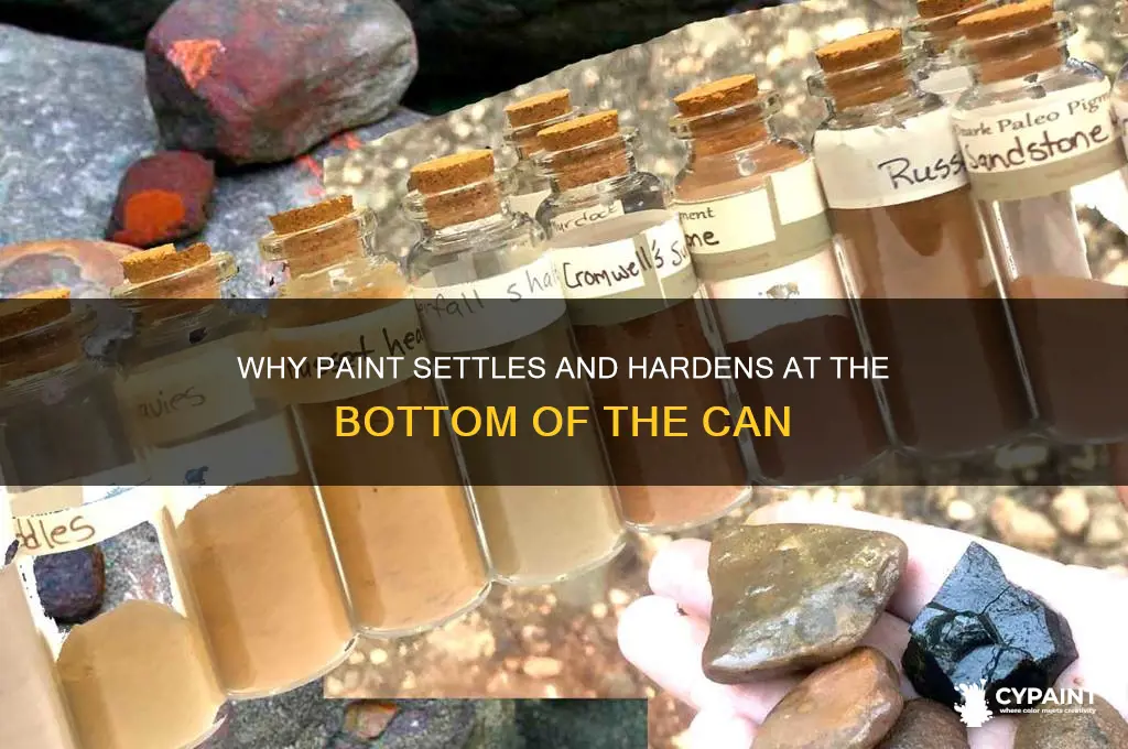 Why Paint Settles And Hardens At The Bottom Of The Can | CyPaint