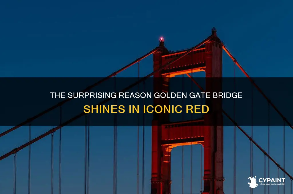 The Surprising Reason Golden Gate Bridge Shines In Iconic Red | CyPaint