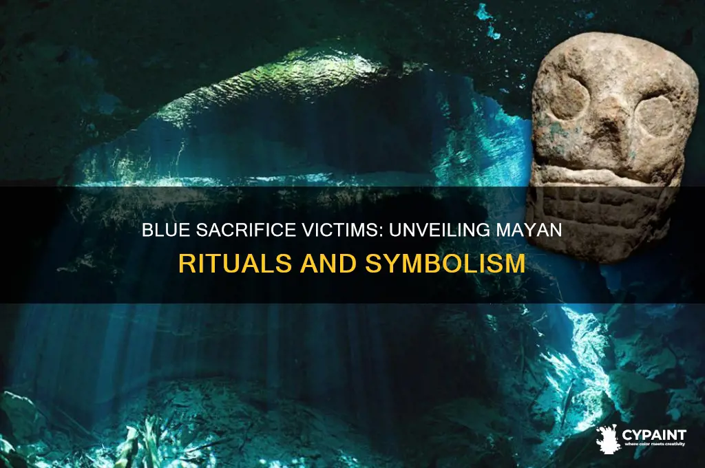 Blue Sacrifice Victims: Unveiling Mayan Rituals And Symbolism | CyPaint