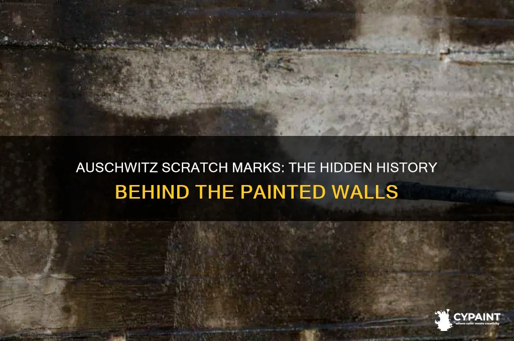 Auschwitz Scratch Marks: The Hidden History Behind The Painted Walls ...